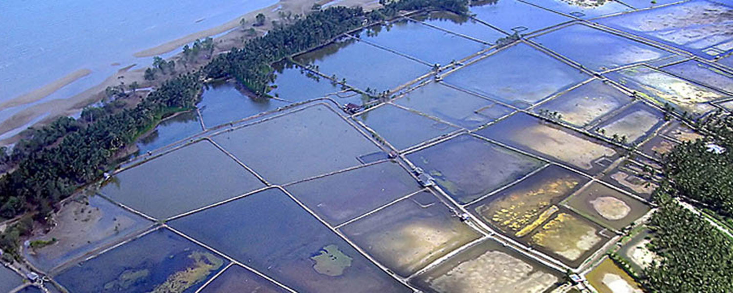 PT Prima Sari Indotama - Located in East Java Indonesia