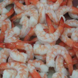 PT Prima Sari Indotama - Located in East Java Indonesia